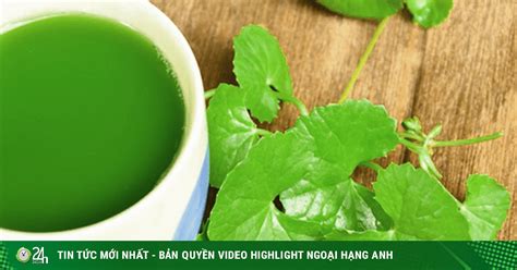 Những sai lầm khi uống nước rau má giải nhiệt bổ đâu không thấy chỉ