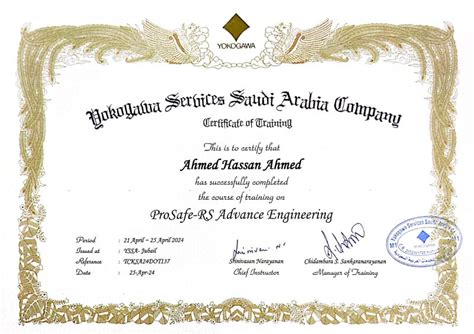 Ahmed Hassan Ahmed On Linkedin Advancedpolyolefins Culture Yokogawa Personaldevelopment