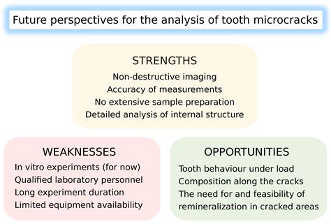 Teeth Microcracks Research Towards Multi Modal Imaging