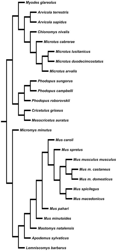 The Phylogenetic Tree Has Been Reconstructed From Published Data Download Scientific Diagram