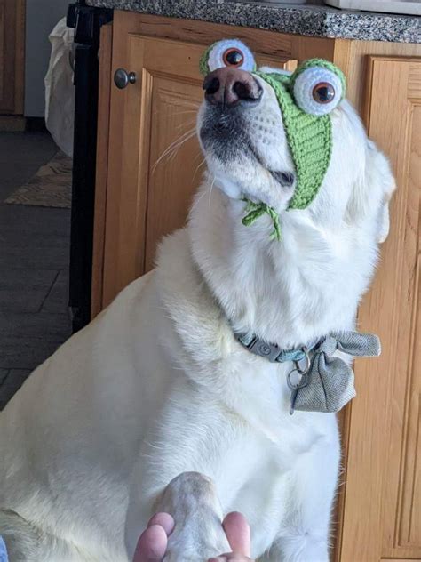 Валентин Стрыкало Дешёвые драмы Альбина Диденко Проза ру