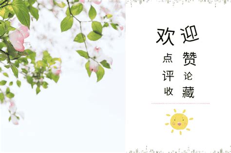 新手必备！vue项目安装依赖包npm Install报错的解决方案 Bytezonex社区