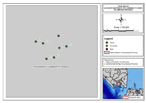 Distribution Map Of Tree Health Categories In Cluster Plots In The Download Scientific Diagram