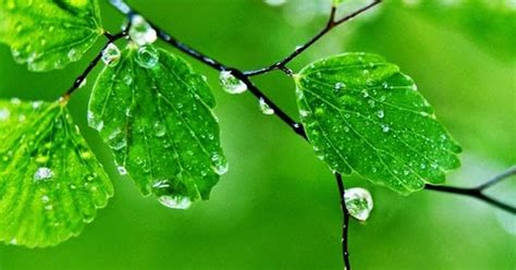 Add Watermark Text On Image Using Php