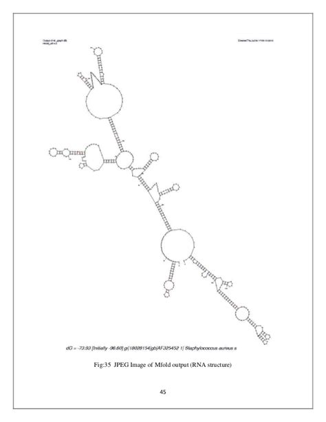 Cell Membrane Drawing Project At Getdrawings Free Download