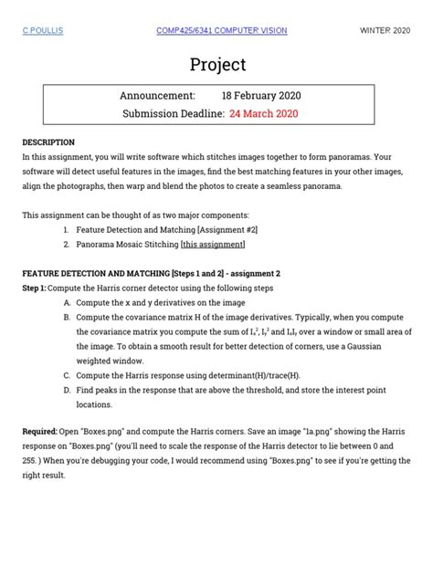 Project Comp 425 Pdf Computer Graphics Imaging