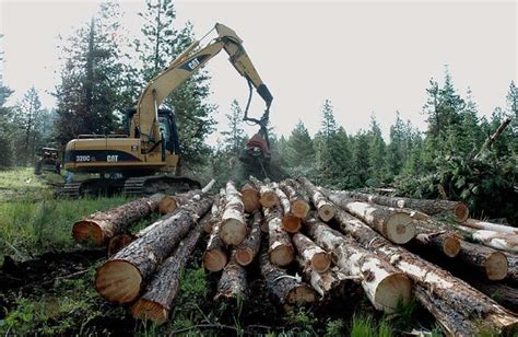 Pro Logger Programs Idaho Sfi
