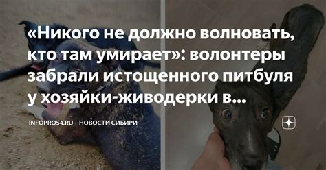 «Никого не должно волновать кто там умирает волонтеры забрали истощенного питбуля у хозяйки