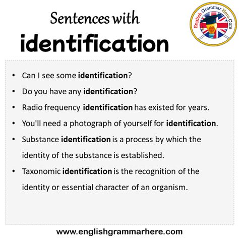 Sentences With Identification Identification In A Sentence In English Sentences For