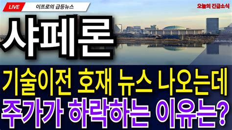 샤페론 기술이전 호재 뉴스 나오는데 주가가 하락하는 이유는 Youtube