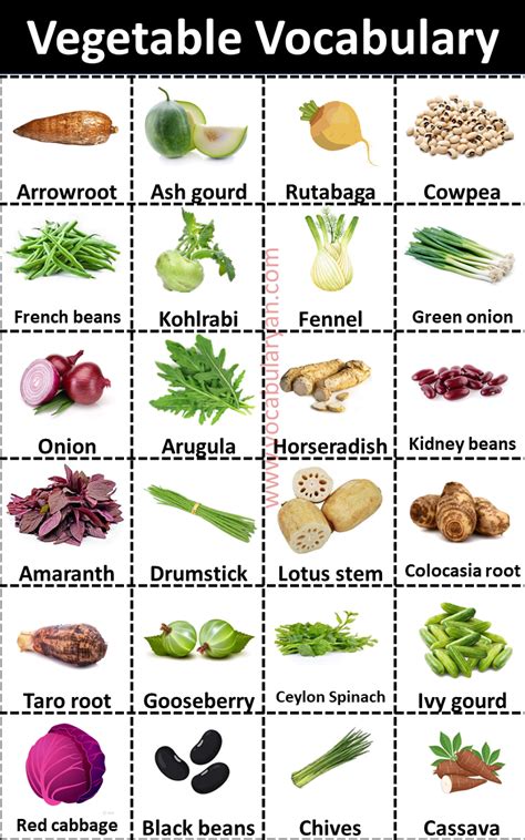 100 Vegetable Names With Picture Vocabularyan