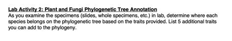 lab activity 2 plant and fungi phylogenetic tree annotation as you