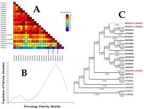 Pairwise Identity A Population Of Pairwise Identities B And Download Scientific Diagram