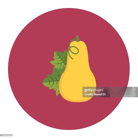 Cute Autumn Icon Butternut Squash High Res Vector Graphic Getty Images