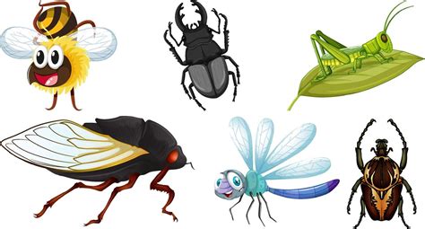 Set Of Different Kinds Of Insects 14074298 Vector Art At Vecteezy