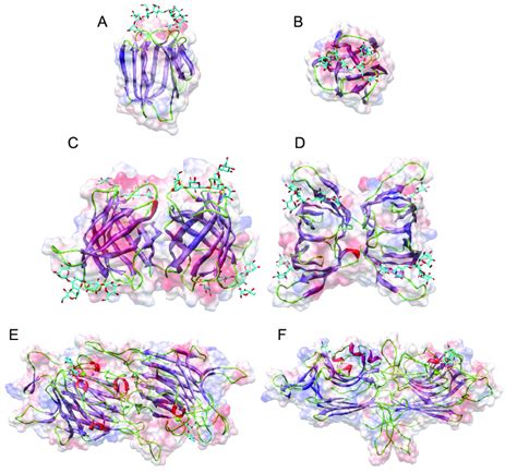 Structural Diversity Of The Mannose Binding Seaweed Lectins A B