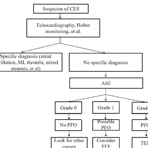 Suggested Diagnostic Algorithm For Patients With Suspected Cardiac