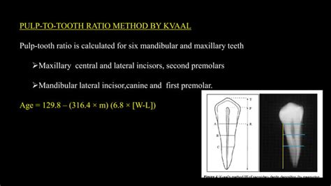 age estimation in forensics pptx dental health diseases and