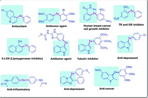 Biologically Important Arylheteroaryl Selenide Based Compounds With A