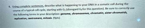 Solved Complete Sentences Describe What Is Happening Lo Your Dna In A