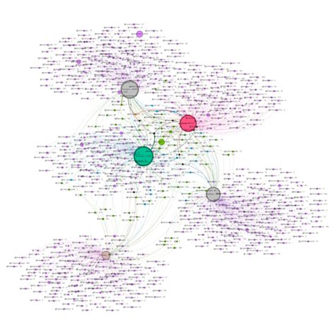Teach Basic Network Analysis And Visualisation In Gephi By Shiwani285 Fiverr