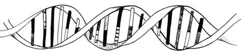 Creative Dna Deconstructionreconstruction Malwina Chabocka