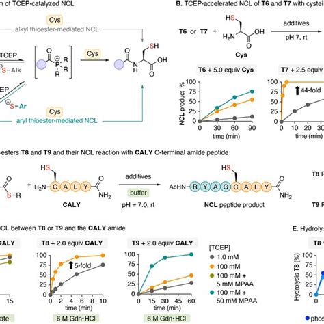 Tcep Accelerated Native Chemical Ligation A Proposed Pathways For Download Scientific