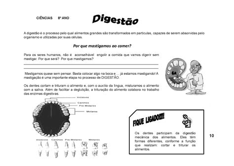 Exercicios Sistema Digestorio 8 Ano Com Gabarito Educa