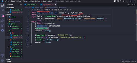 nest自定义验证类及自定义验证装饰器 plaintoinstance csdn博客