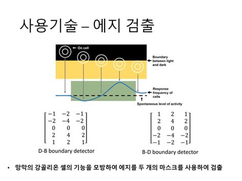 retinal layer segmentation ppt
