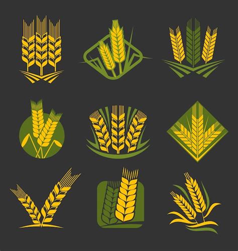 Premium Vector Cereal Ears And Spikes Of Wheat Rye Barley Icons