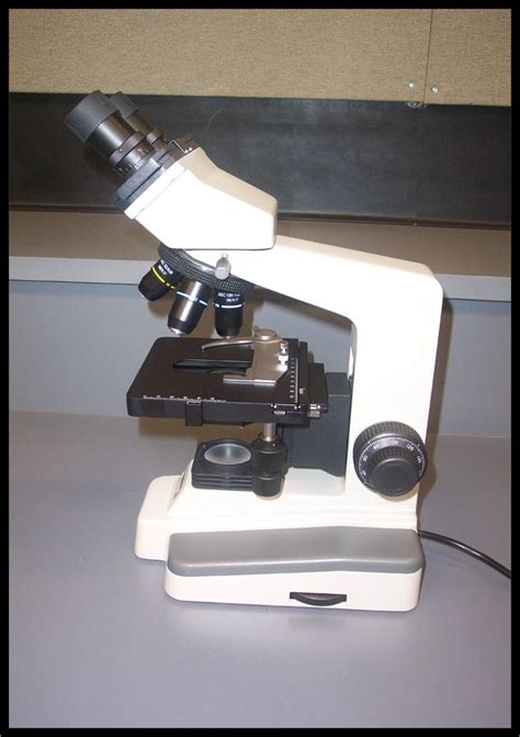 Microscope Parts Diagram Quizlet