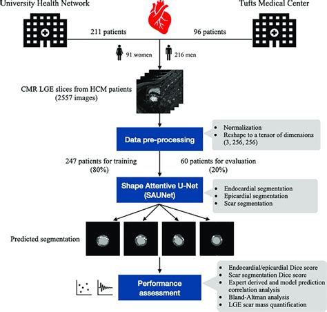 Central Illustration Of Data Processing Modelling And Assessments Of