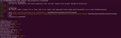 how to update drupal core with composer to the new blog