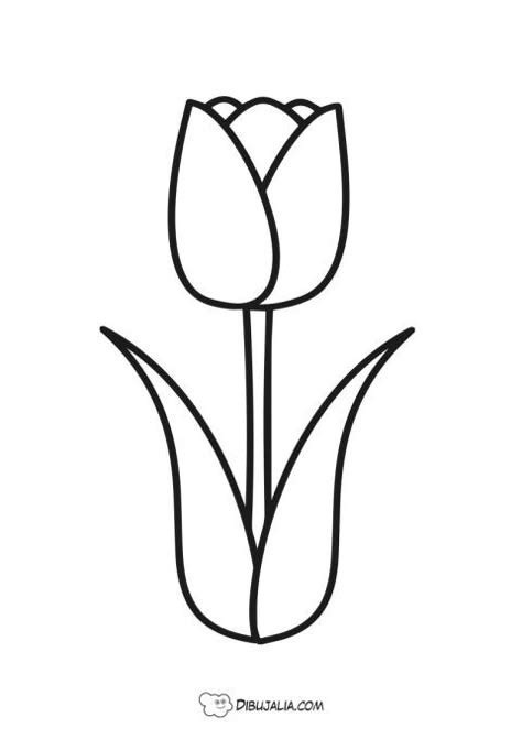 Dibujos De Tulipanes A Lapiz