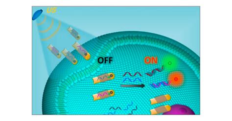 Real Time Detection Of Multiple Intracellular Micrornas Using An Ultrasound Propelled Nanomotor