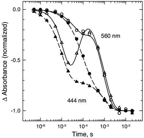 Time Resolved Optical Absorption Difference Spectra Post Minus