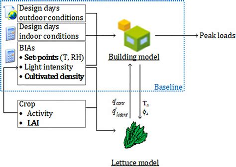 Overview Of The Modeling Approach Download Scientific Diagram