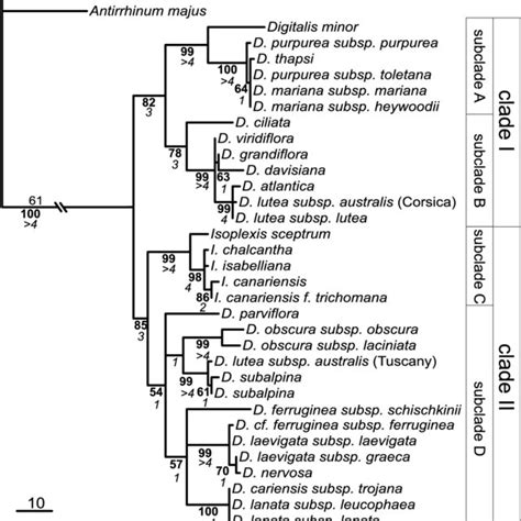 Strict Consensus Tree Of Four Most Parsimonious Trees Based On Its Download Scientific Diagram