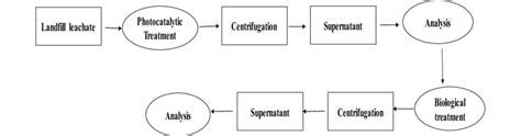 A Synoptic Diagram Of The Coupling Process Download Scientific Diagram