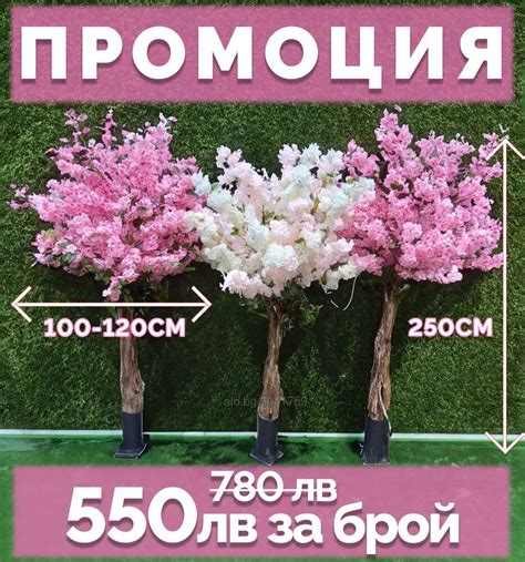 Изкуствени декоративни дръвчета Японска вишна Цветя декоративни растения Бургас Изкус