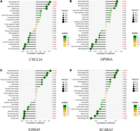 Correlation Between Diagnostic Markers And Infiltrating Immune Cells