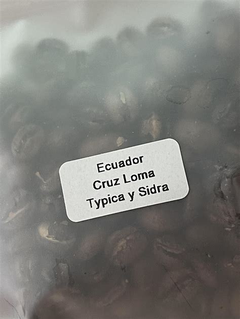 에콰도르 피친차 산 호세 데 미나스 핀카 크루즈 로마 갈로 모랄레스 메호라도 And 시드라 무산소 워시드