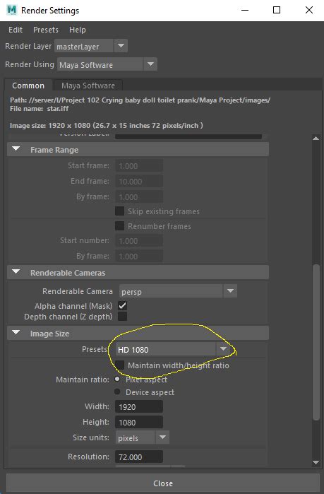 playblast issues autodesk community