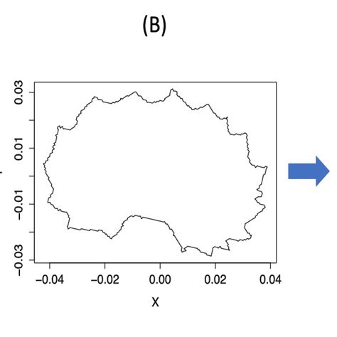 The Shape Curve Generation Process Recognize A Shape Outline