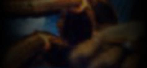 Arachnia Nude Scenes Pics And Clips Ready To Watch Mr Skin