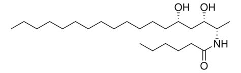 N C6 Enigmol 2 S 3 S 5 S 2936622 48 7 C 24 H 49 No 3 Avanti Polar Lipids