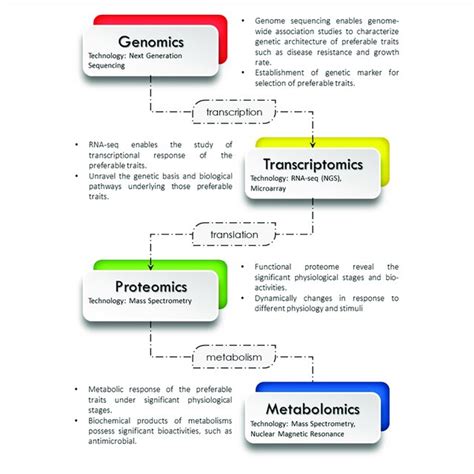 Multi Omics Integration Of Genomics Transcriptions Proteomics And