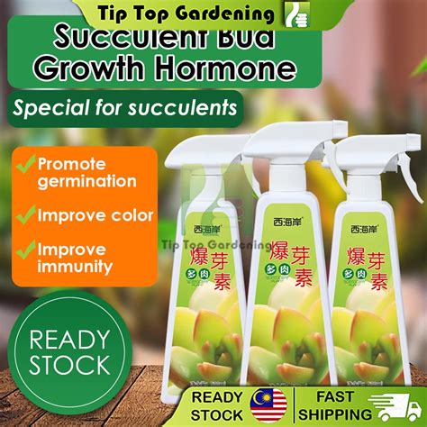 300ml Succulent Bud Growth Hormone Succulent Fertilizer Nutrient Spray