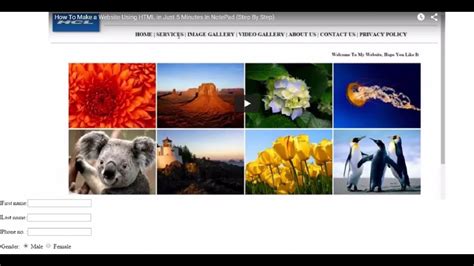 how to create a website using html in 8 just minutes learn html youtube